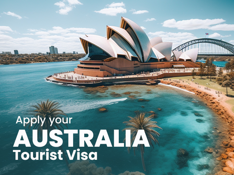 The Visa Guy- Visa Consultant in Qatar | Schengen Visa Qatar